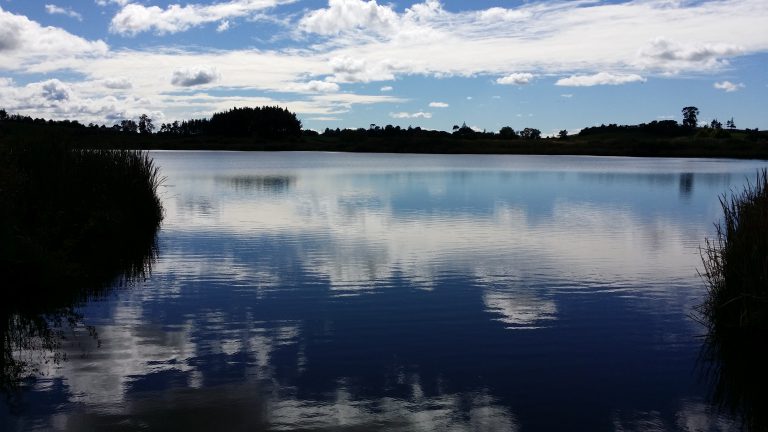 Lake Rotokauri Integrated Catchment Management Plan - Streamlined ...